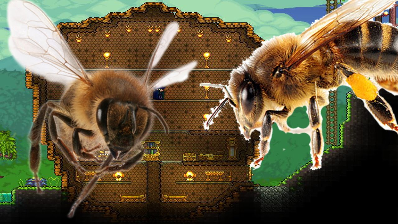 Twin Bees!! [Terraria: Epic Modpack - Episode 63 -] - YouTube