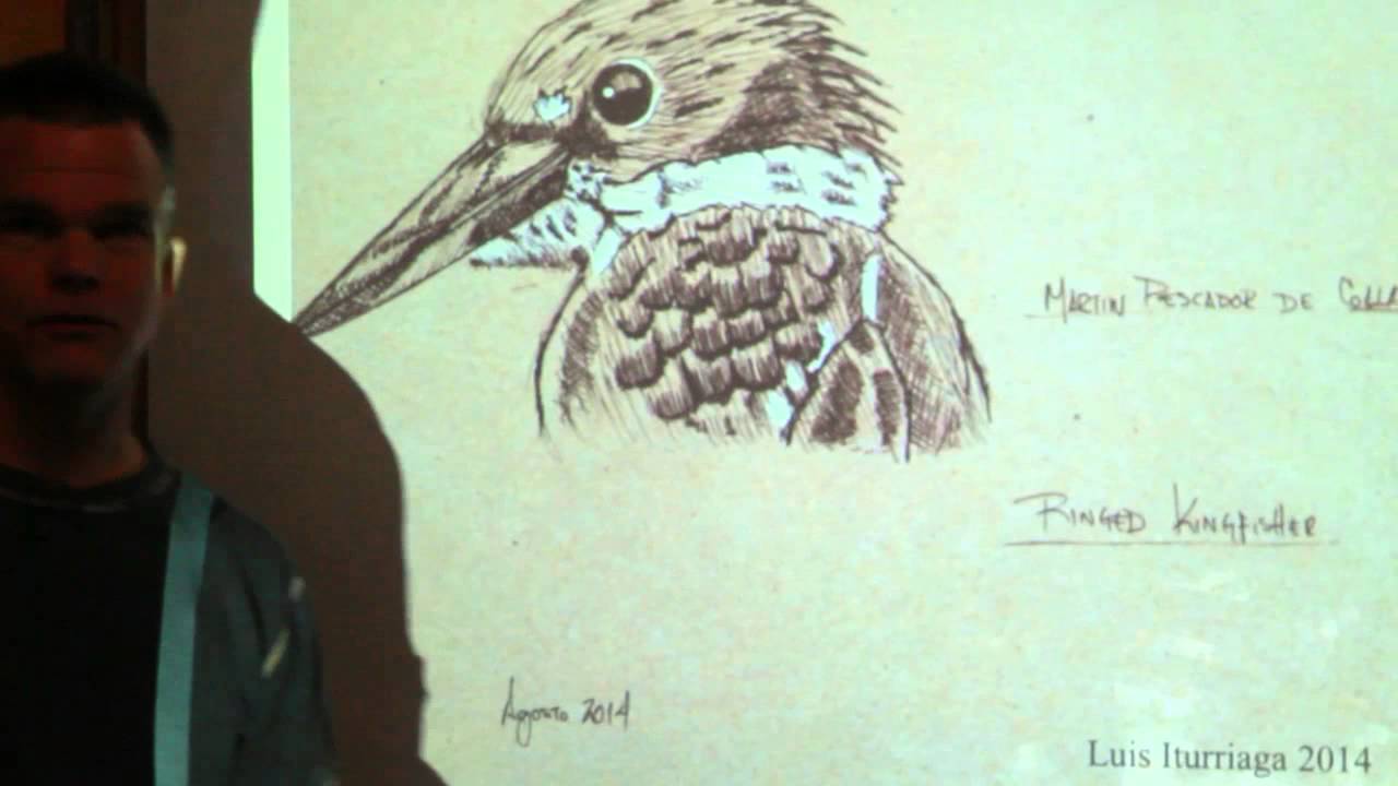 Five Tips For Better Drawing - YouTube