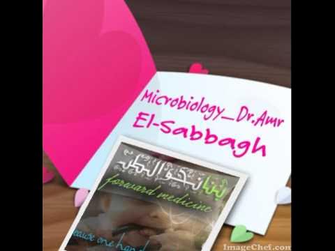 Dr Amr El Sabbagh 4 Systemic Bactriology 4 - YouTube