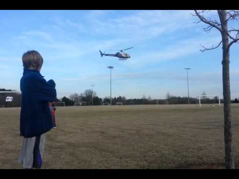 The Bird.3gp - YouTube