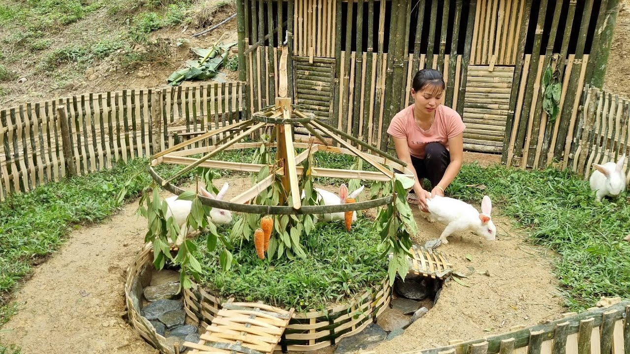 Build a complete rabbit garden and rabbit house l Lý Thị An - P.2 - YouTube
