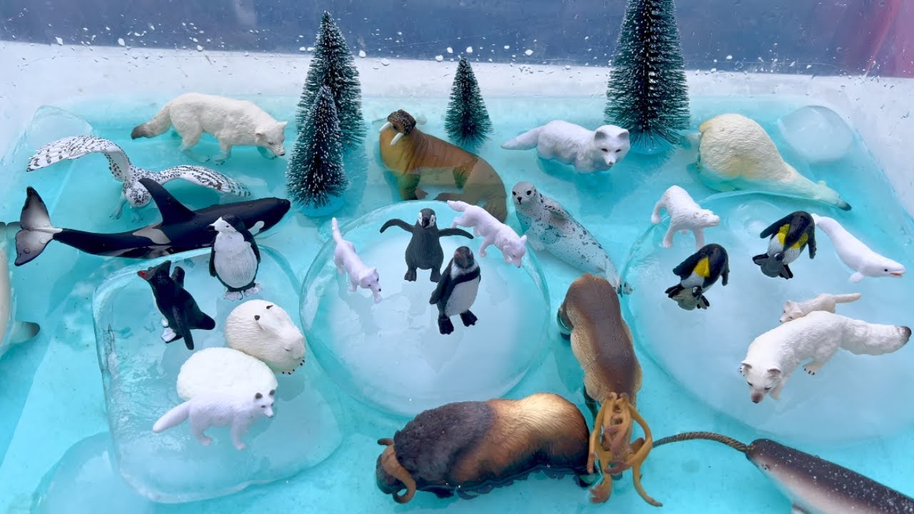 Artic World with Glaciers, Penguins, Polar Bears and more Artic Animals ...