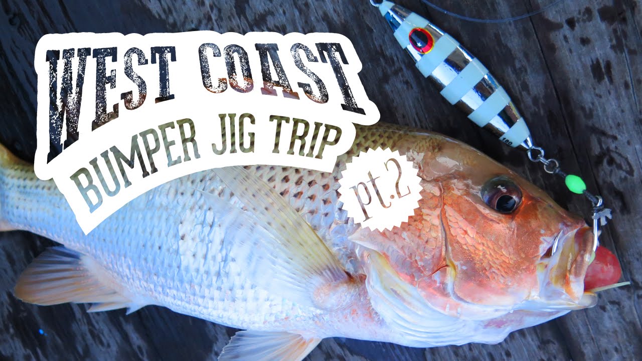 WEST COAST BUMPER JIG TRIP - PART TWO - YouTube