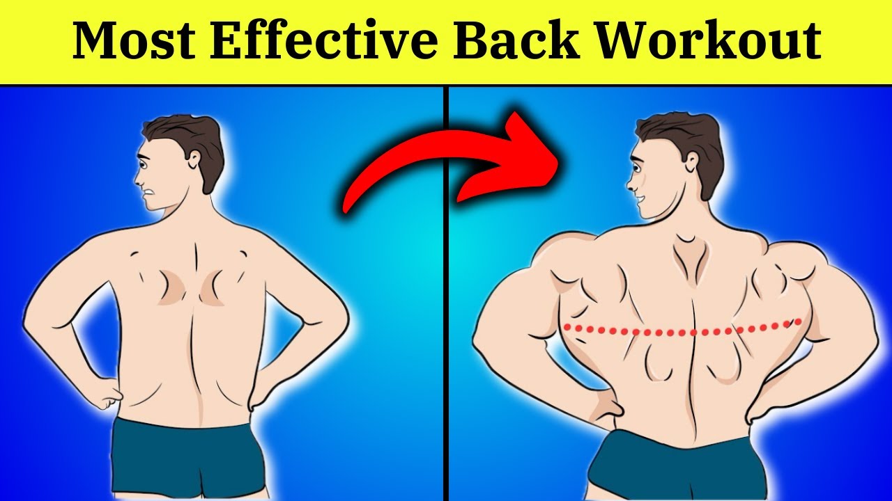 10 Most Effective Back Workout For Building Muscle (MASSIVE GROWTH ...