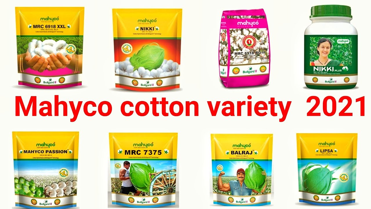 All Top Mahyco cotton seeds variety 2021 | Mahyco kapas beej | kapas ki ...