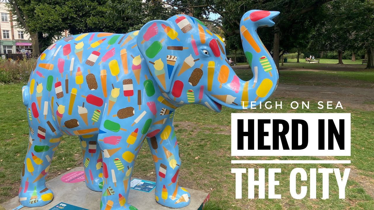 Herd In The City - Elephant Trail in Southend (15/08/23) - YouTube