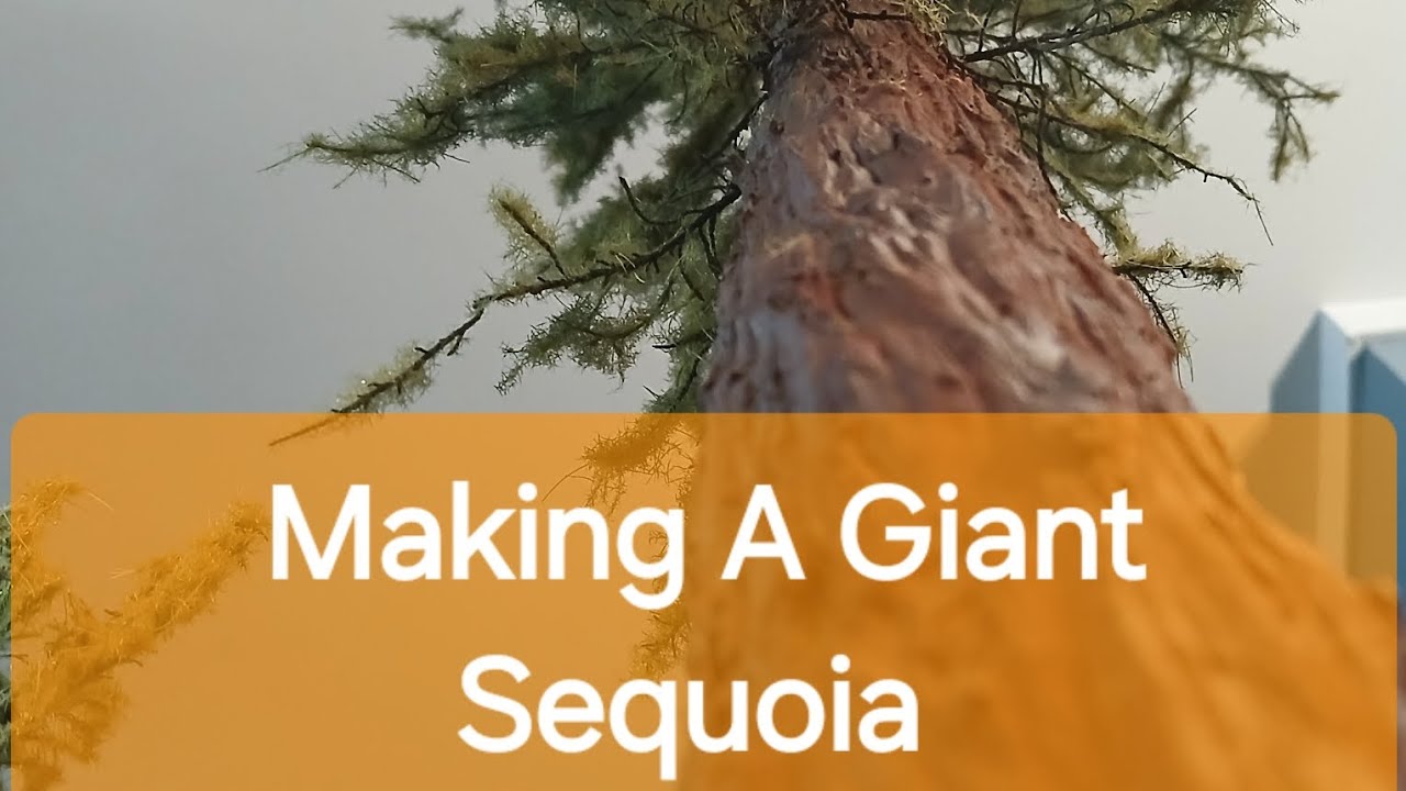 Making A Giant Sequoia - YouTube