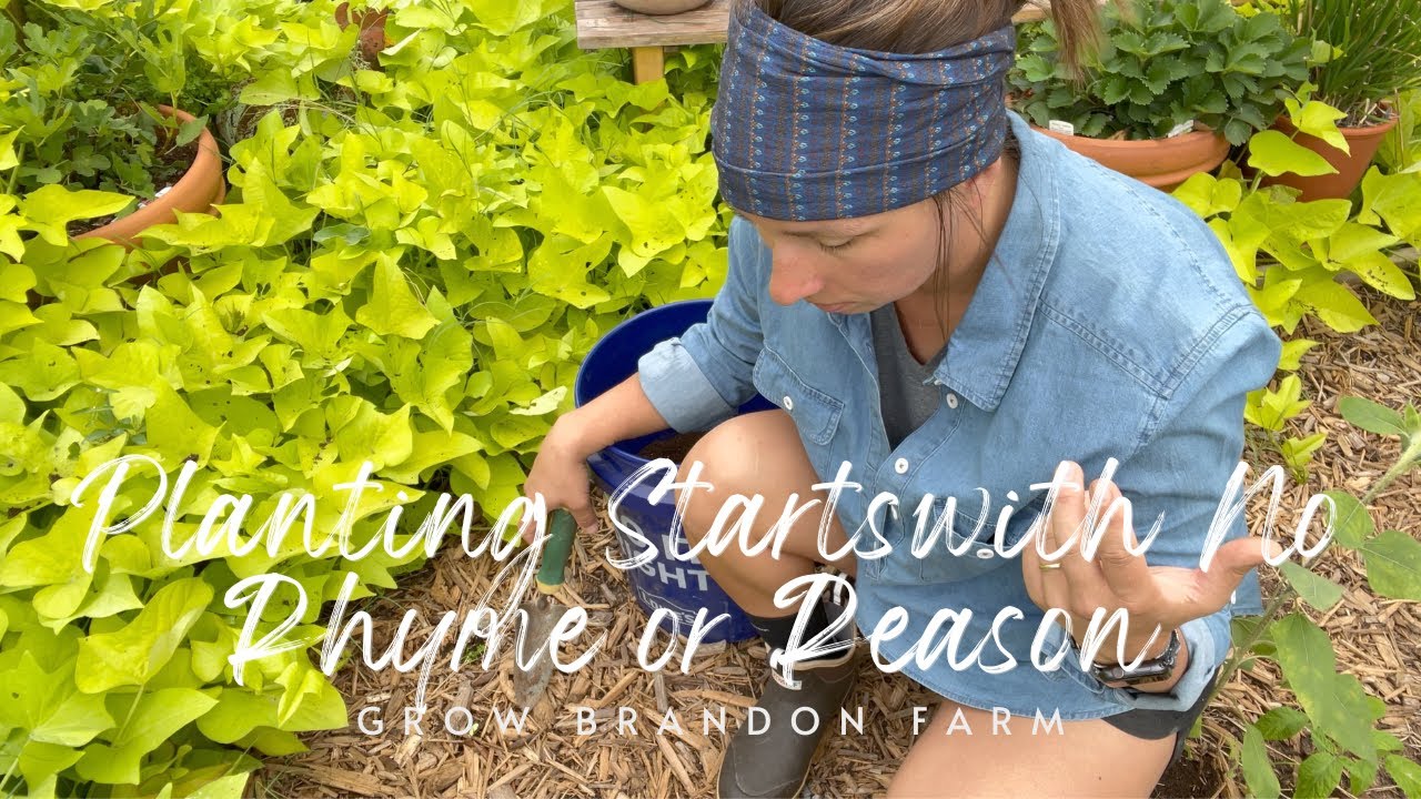 Planting Starts With No Rhyme Or Reason YouTube planting-starts-with-no-rhyme-or-reason-youtube
