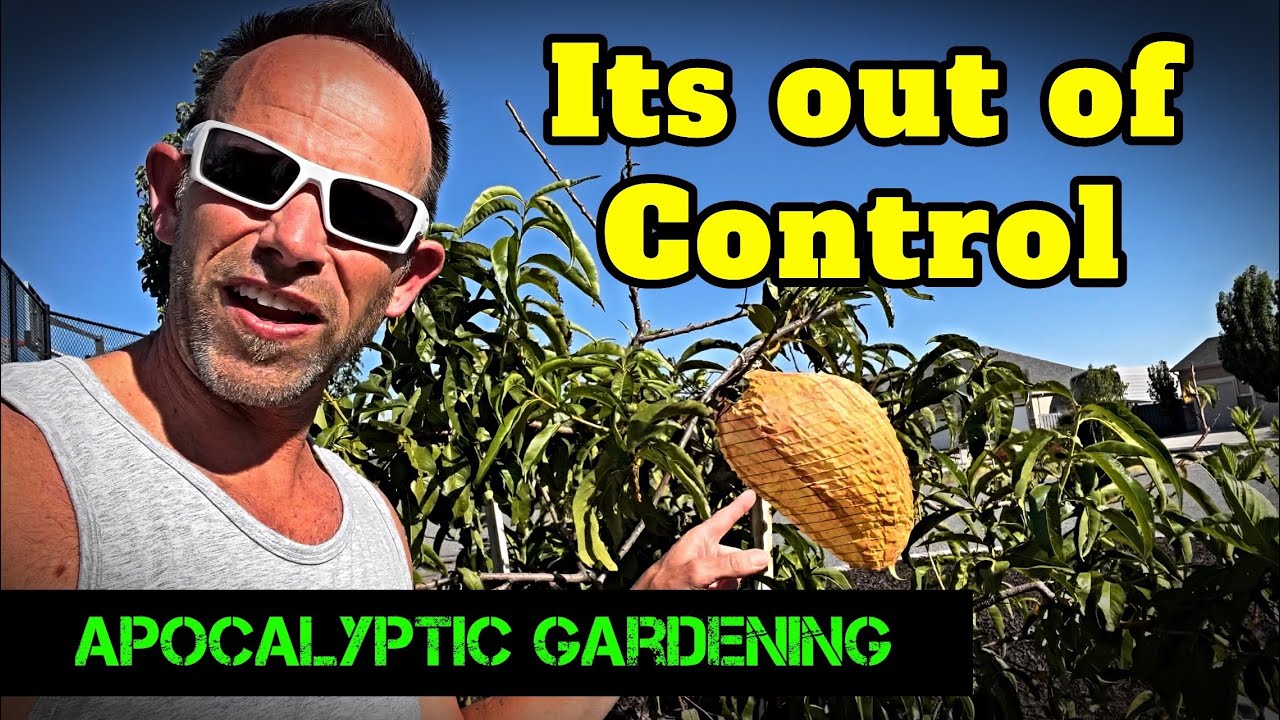 Underground Greenhouse is GROWING Out of Control YIKES!! - YouTube