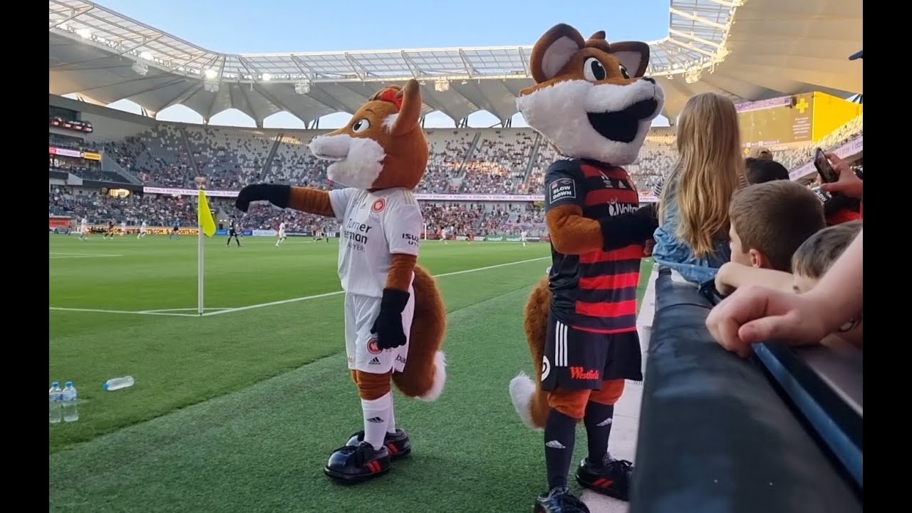 ALeague Wanderers fox mascots November 2023 - YouTube