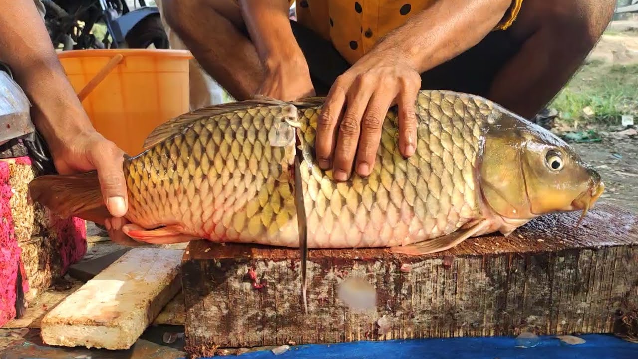 komal kat fish cutting hand machine in Assam // komol kat mach / #fishcutting - YouTube