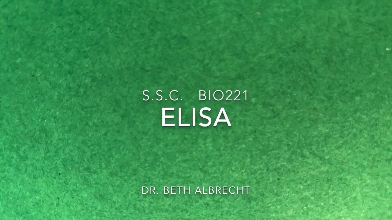 ELISA Lecture - Professor B. Albrecht - YouTube