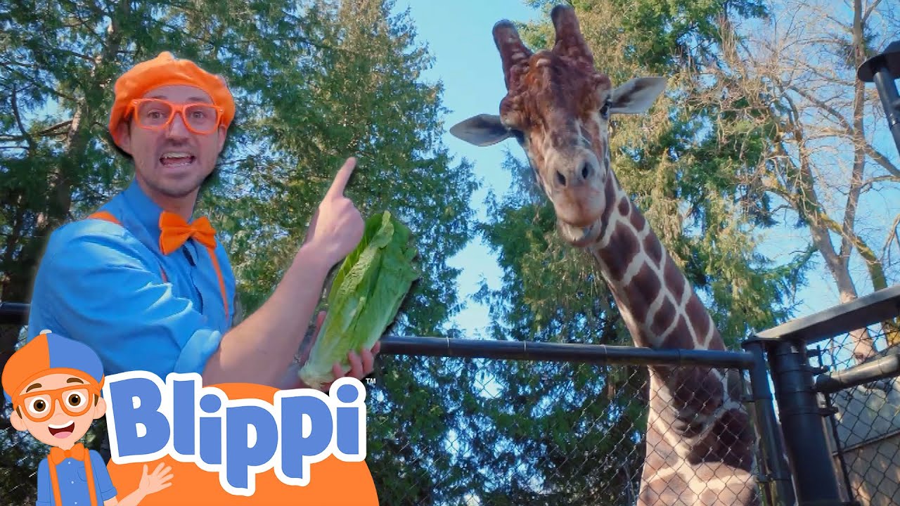 Blippi at the Zoo-Feeding the Animals | Animals for Kids | Animal ...