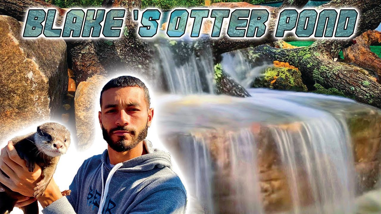 Blake's Exotic Animal Ranch OTTER POND Build - YouTube