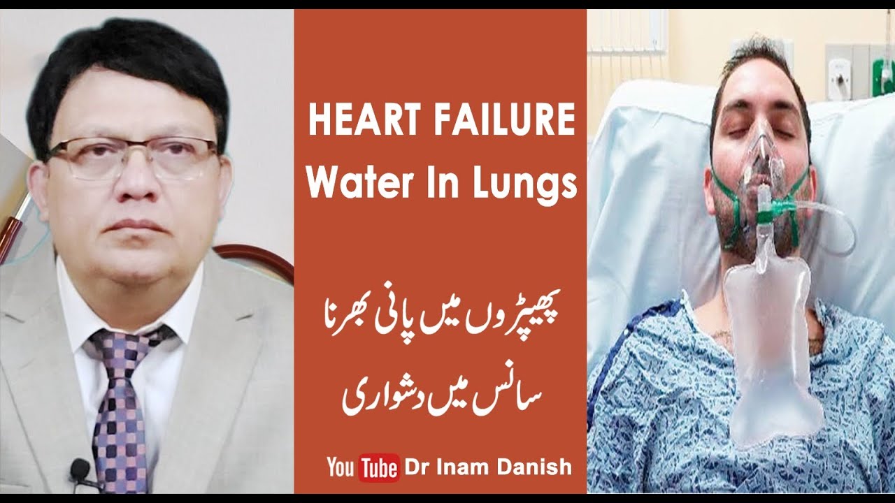 Heart Failure Water in Lungs in Urdu & Hindi - YouTube