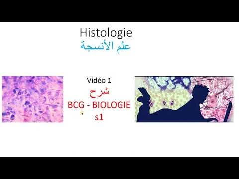 Histologie S1 : Introduction N° 01 شرح - YouTube