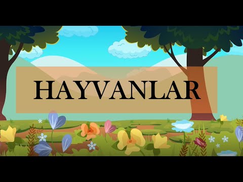 Hayvanlar, Turkish animals, турецкие животные, Eğitici çocuk videoları