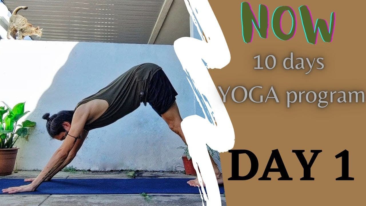 NOW |10 Day Yoga Program | Day 1 | Yoga with Yong - YouTube