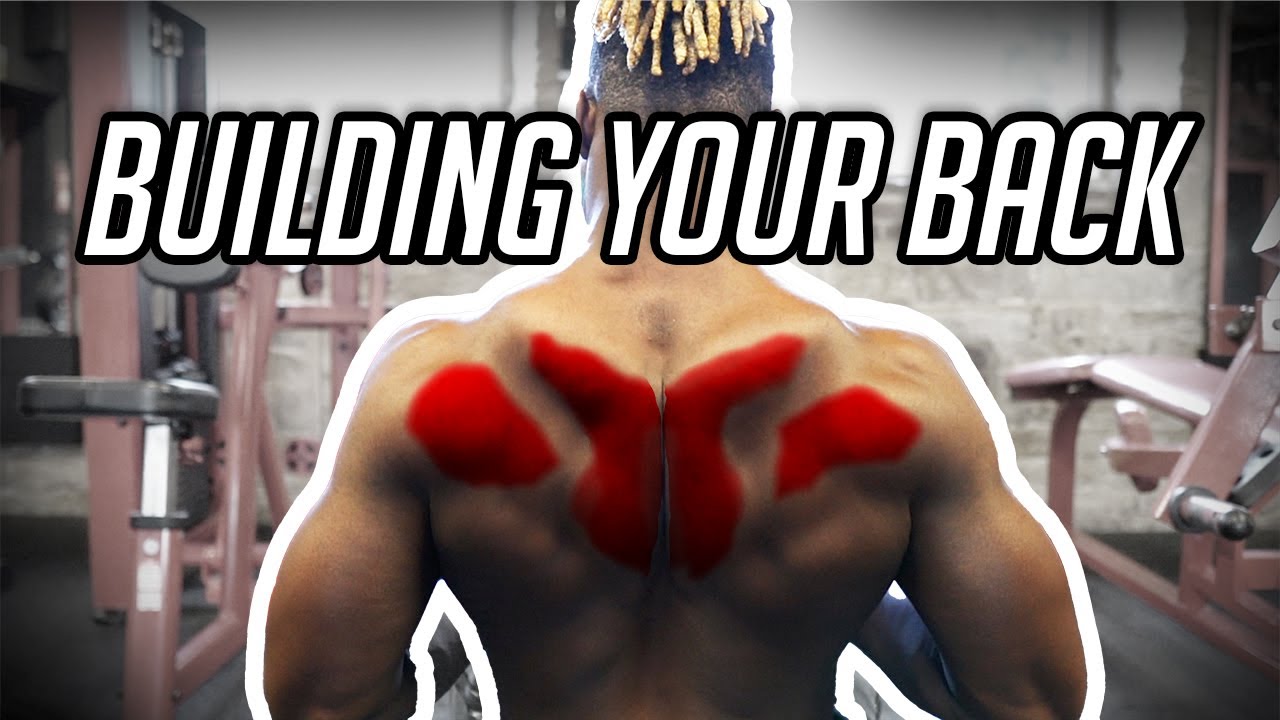 HOW TO GROW YOUR BACK | FULL WORKOUT - YouTube