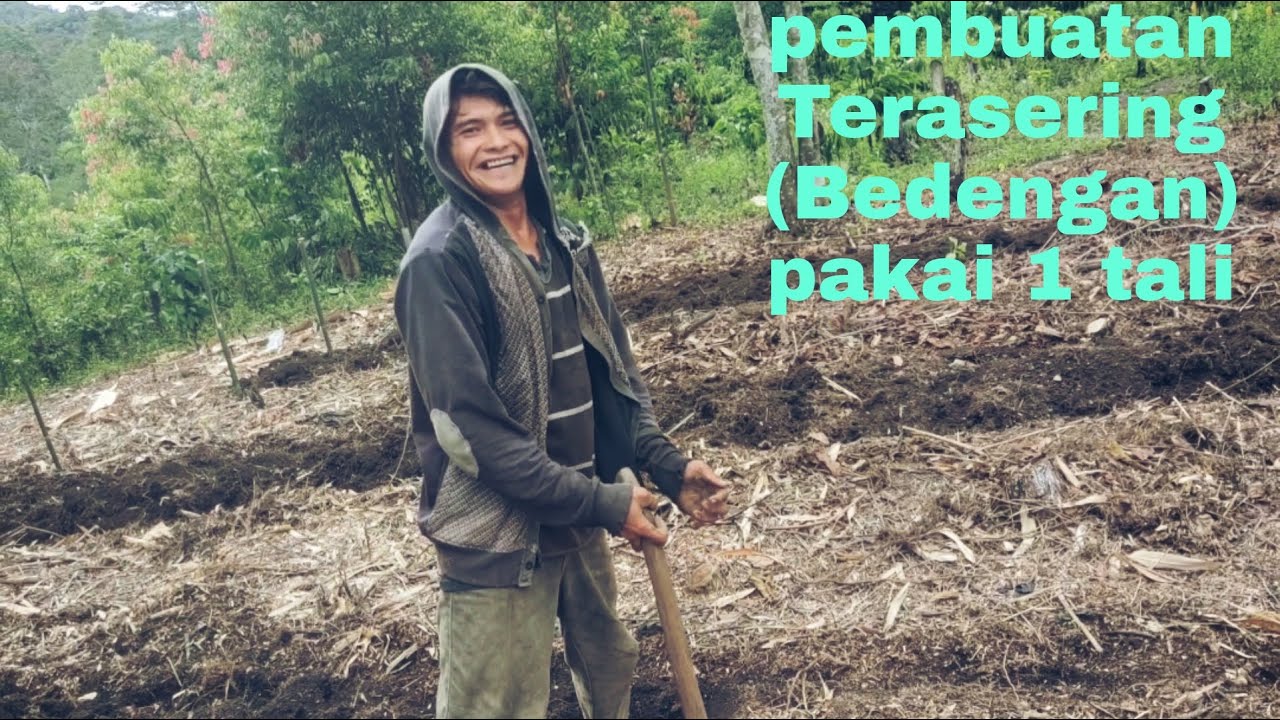 Proses Pembuatan Terasering(Bedengan) Untuk Penanaman Cabai || Cara ...