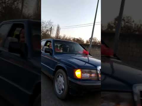 Balakən ititala.Toy karvani