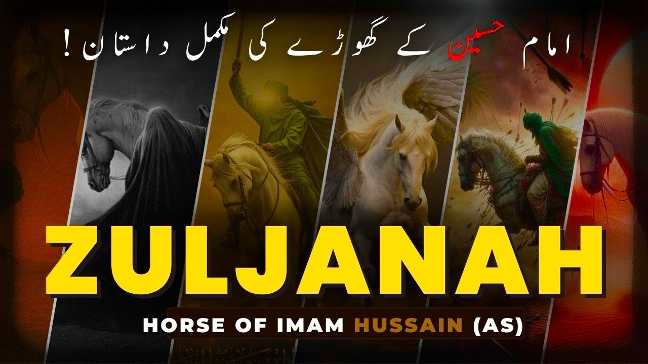 Zuljanah: The Most Faithful Horse in Islamic History - YouTube