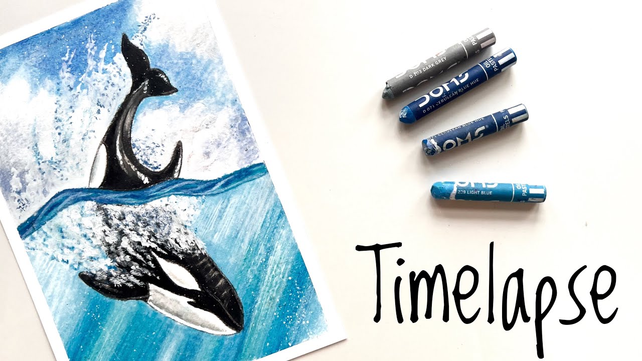 How to draw orca with oil pastels | timelapse | killer whale drawing ...