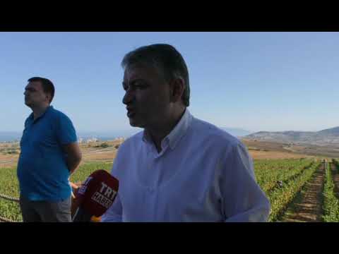 TEKİRDAĞ TSO BAŞKANI CENGİZ GÜNAY ÜZÜM RÖPORTAJI