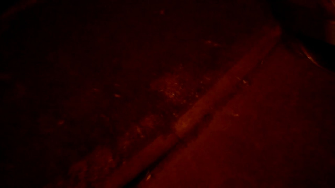 Farting and burping in the night - YouTube