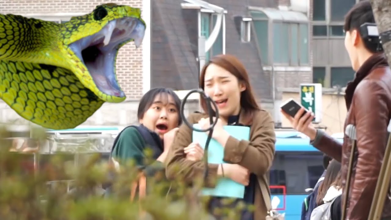 여대생 머리에 독사가 떨어지다?! [뱀 떨구기 프랭크] Popping Out Snake Prank ­­｜달총곰 - YouTube