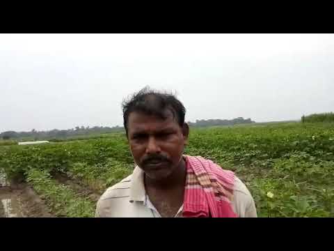 HPM Happy Farmer Diary WB Video 2 - YouTube