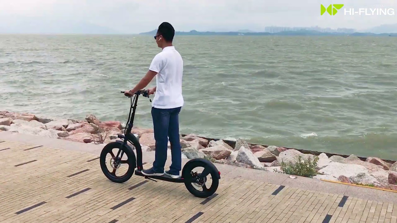 ECO-FLYING electric scooter H100 - YouTube