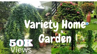 Home Garden tour Malayalam || Indoor and outdoor plants ll Auto Garden