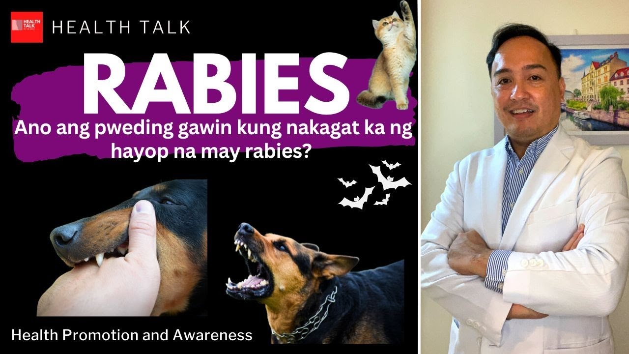 Rabies: Ano ang pweding gawin kung nakagat ka ng hayop na may rabies ...