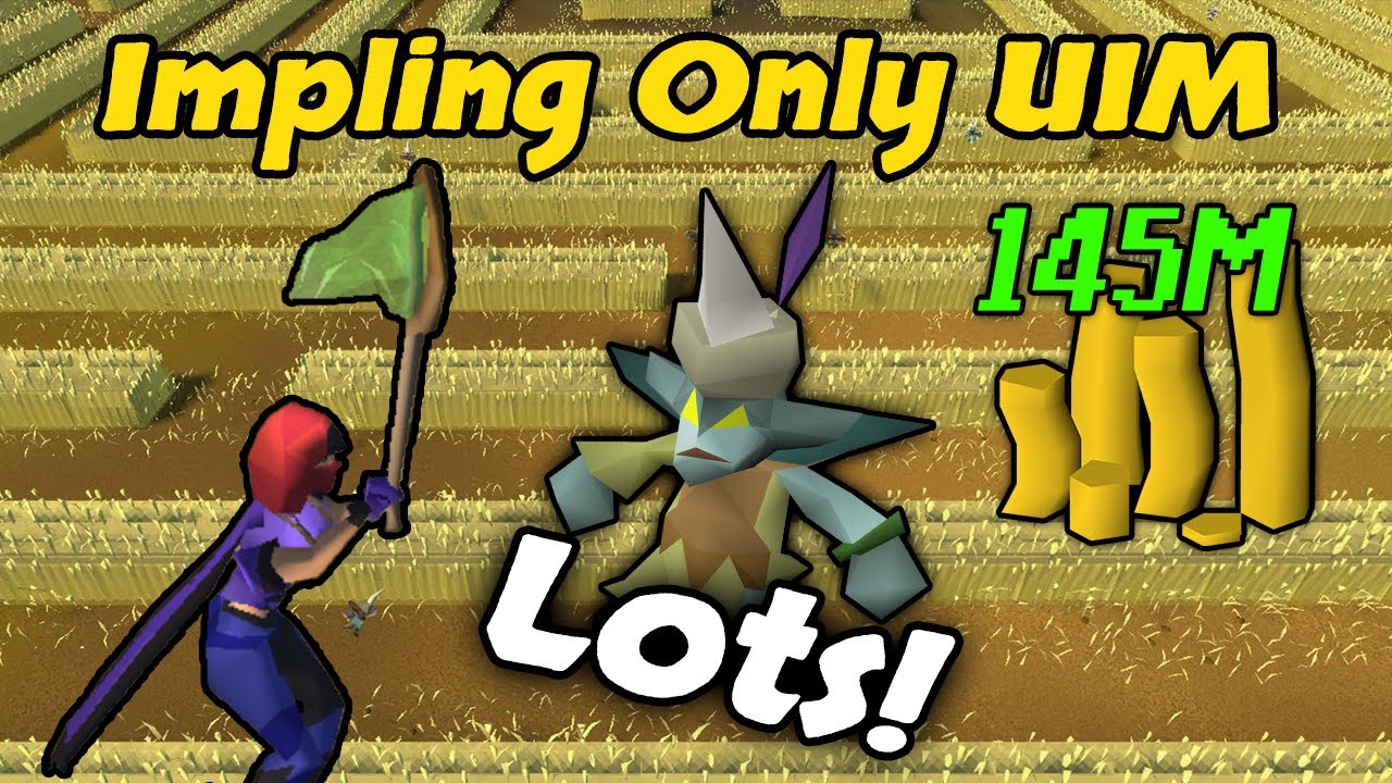 65,535 Eclectic Implings Caught - Impling Only UIM (#33) - YouTube