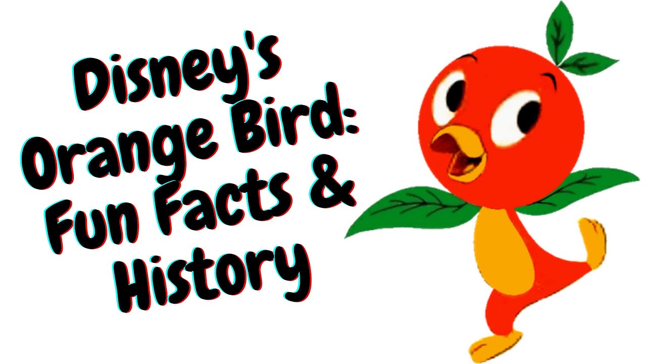 Walt Disney World's Orange Bird: Fun Facts & History - YouTube