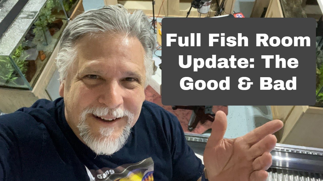 Some Good (and Some Not So Good) Fish Room News - YouTube