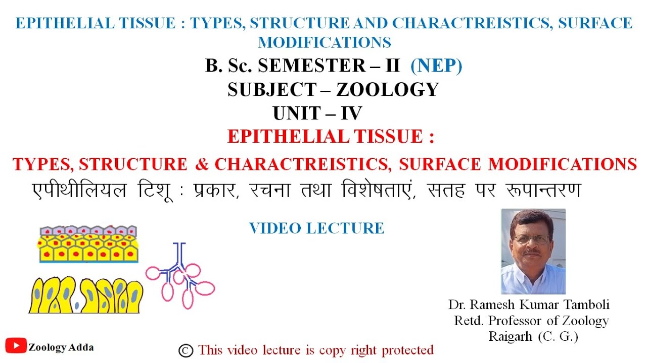 Epithelial Tissue | B.Sc. Semester 2 | ZOOLOGY | By Dr. R. K. Tamboli ...
