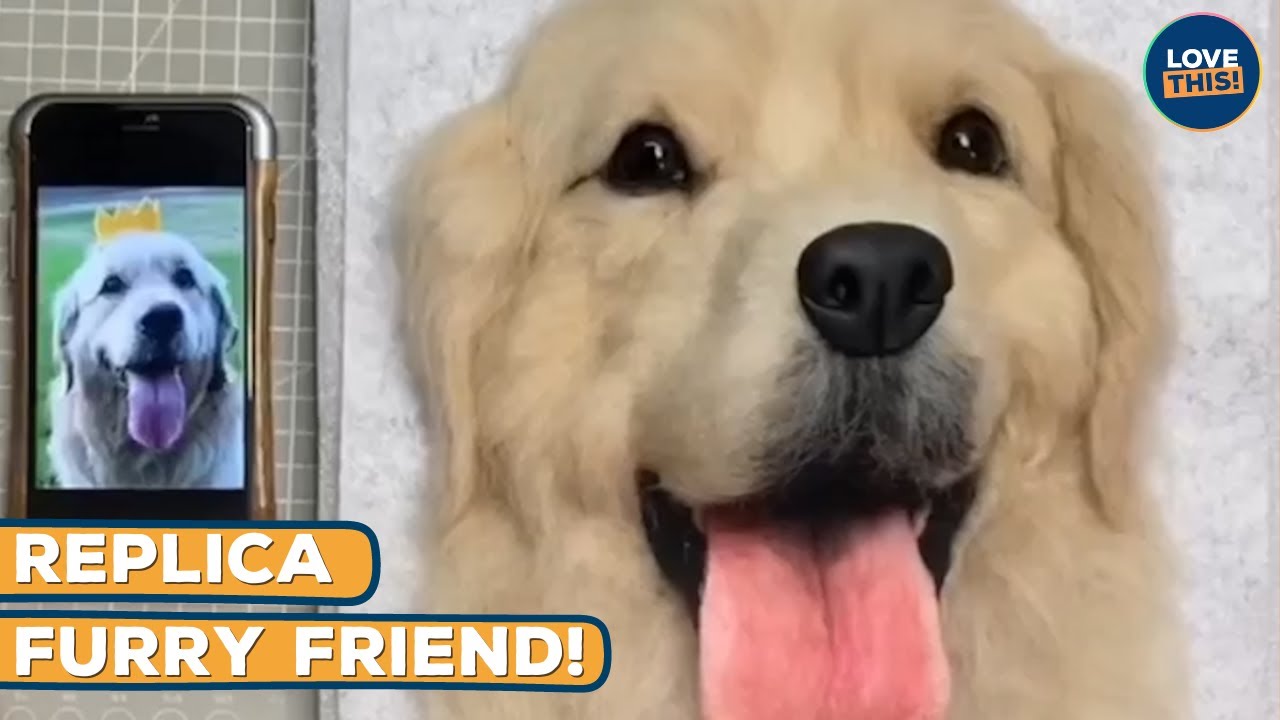 Woman creates replica of dog that passed away 🥺🐶 | LOVE THIS! - YouTube