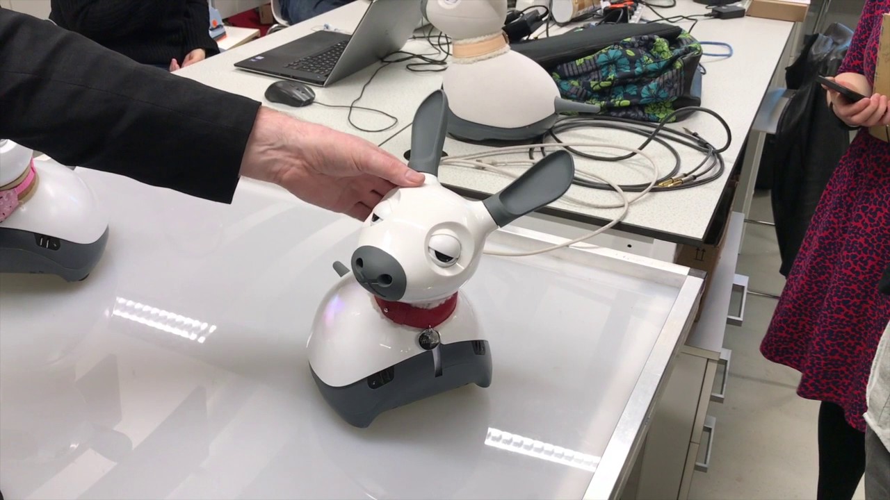 Miro, a pet robot from Sheffield University - YouTube