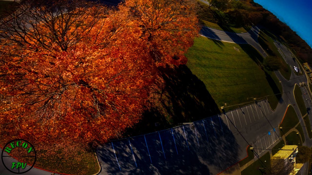 FPV Freestyle // Fall Tree Flowing - YouTube