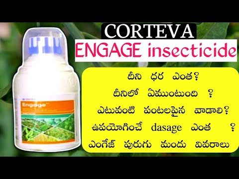Corteva Engage Insecticide Uses Telugu | Engage Insecticide Dosage ...