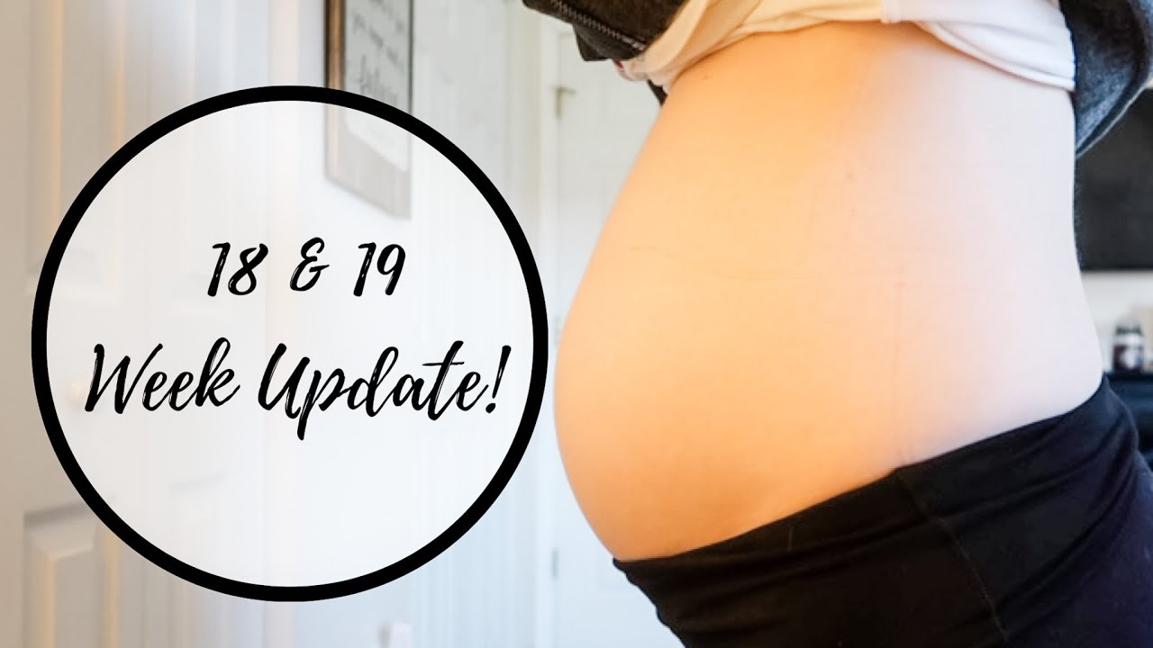 18 And 19 Week Pregnancy Update 😊 Youtube