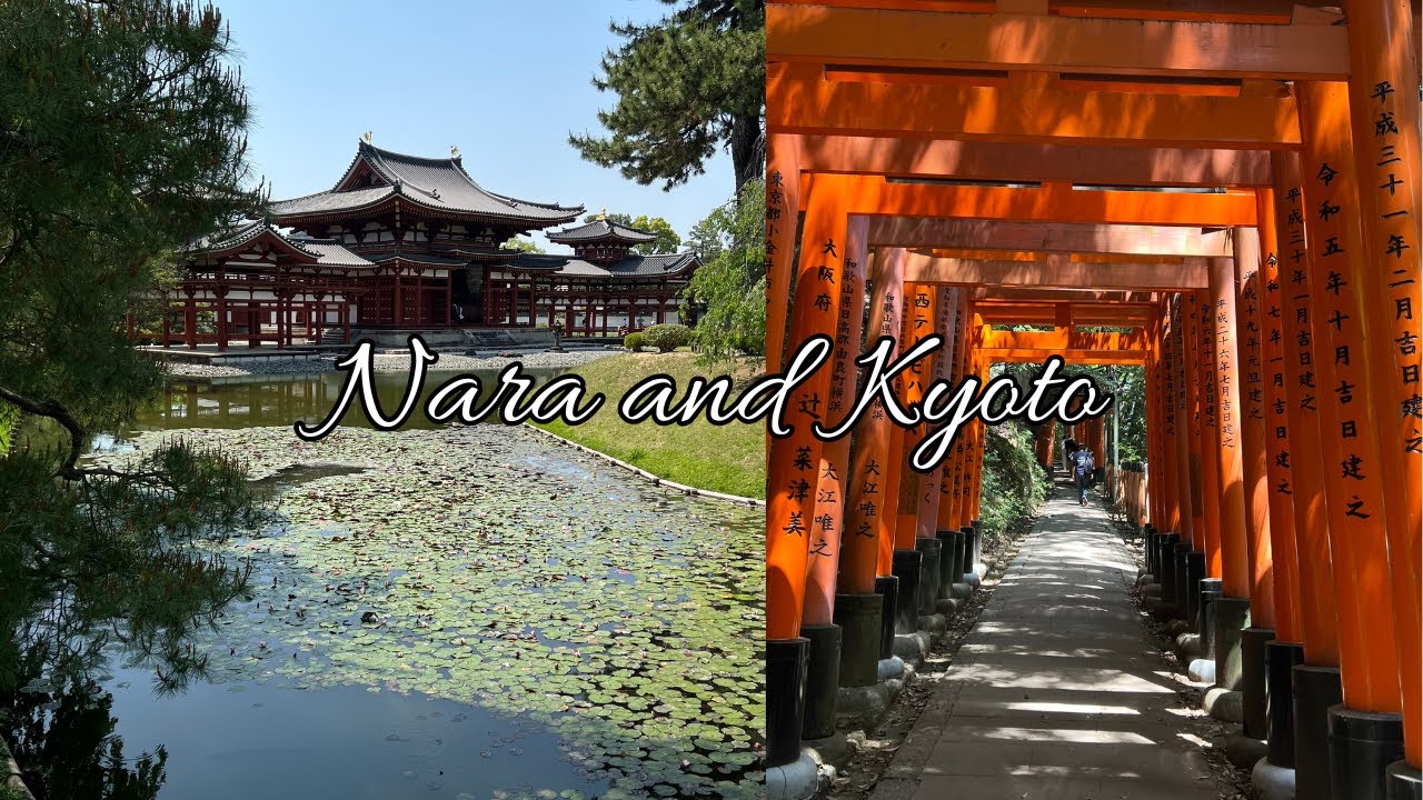 Kyoto Travel Vlog | Nara | Monkey Park | Bamboo Forest | Boat Ride ...