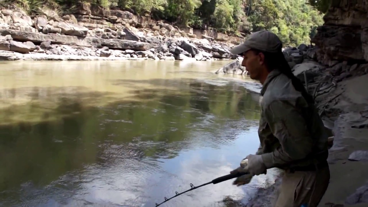 Pesca Colombia, norme Amarillo capturado por Alejandro Linares - YouTube