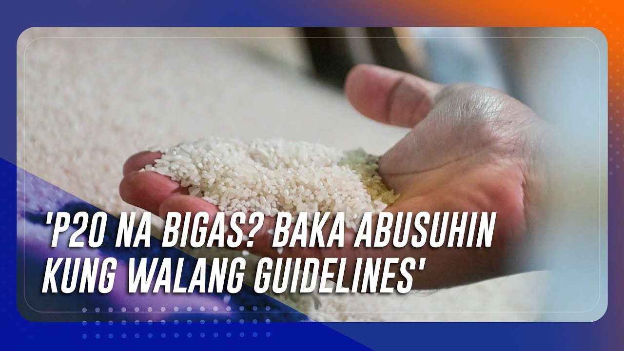 'Dapat may clear guidelines': Rice retailer group warns of possible ...