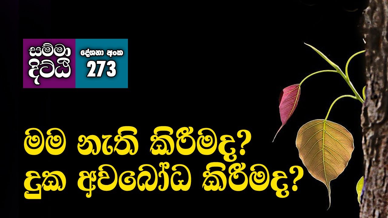 මම නැතිකිරීමද? දුක අවබෝධ කිරීමද? | සම්මා දිට්ඨි | දේශනා අංක - 273 | Samma Ditthi - YouTube