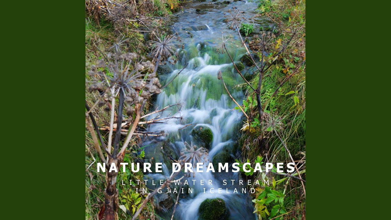 Little Water Stream in Gjain Iceland - YouTube