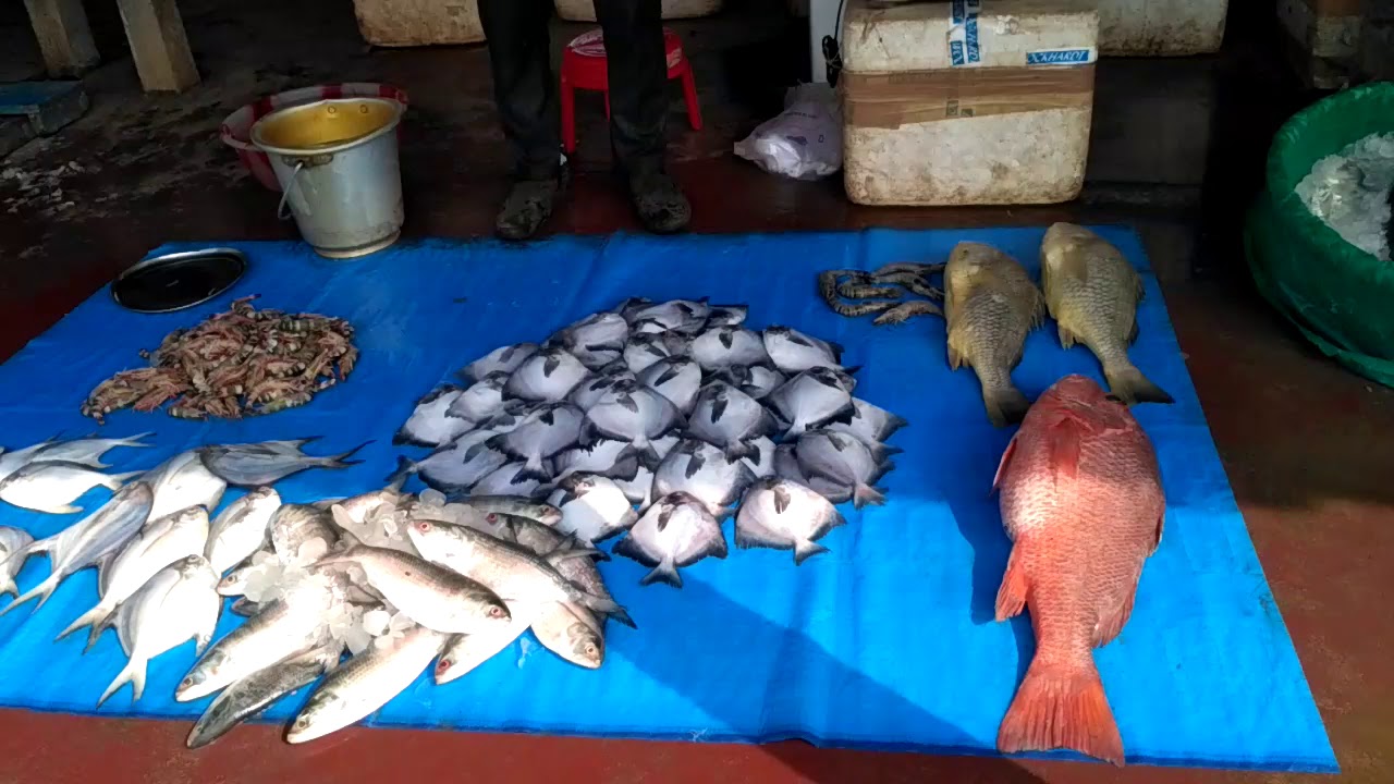 Digha fish market - YouTube