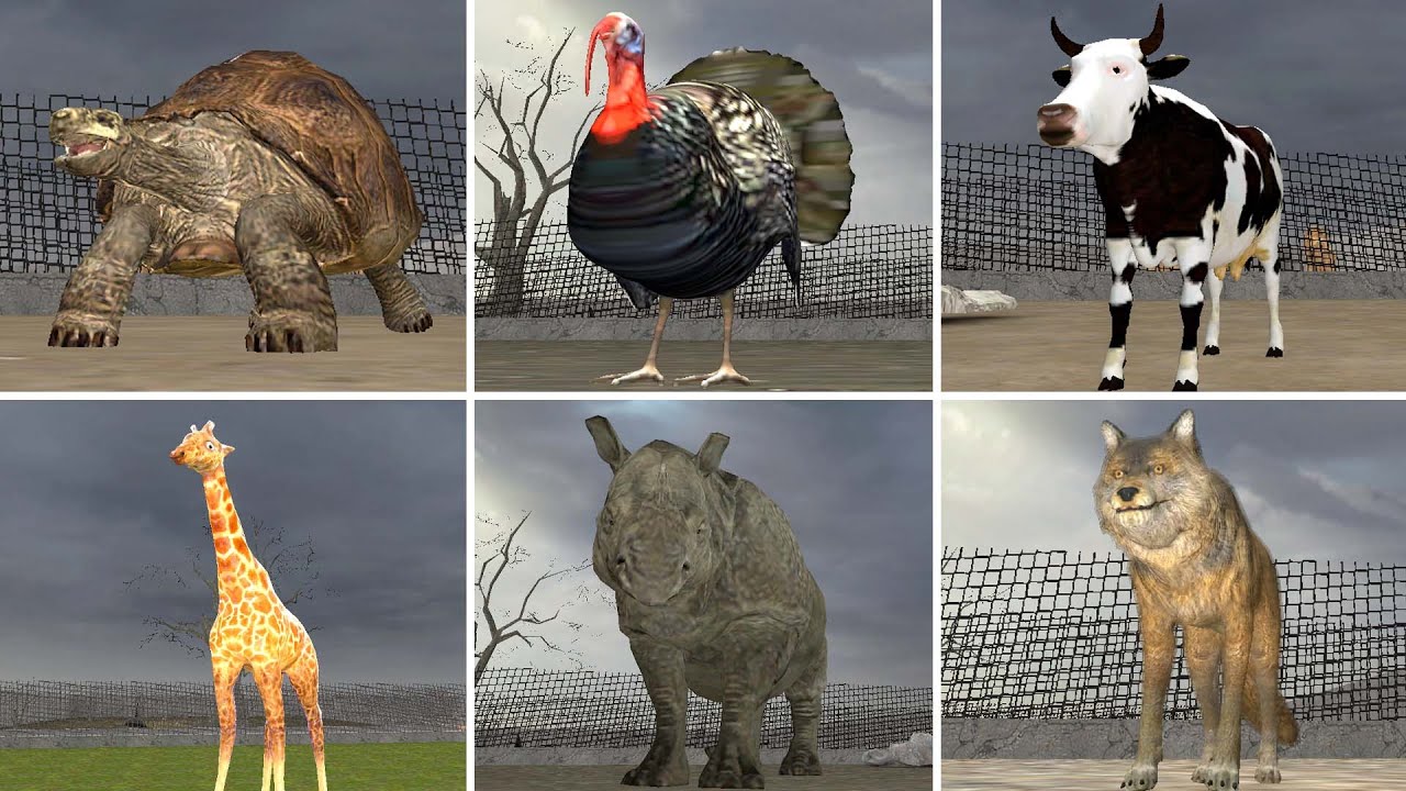 ZOOCHOSIS ALL NEW RELEASE CANDIDATTE ANIMALS MONSTERS ANIMALS & BLUE ...